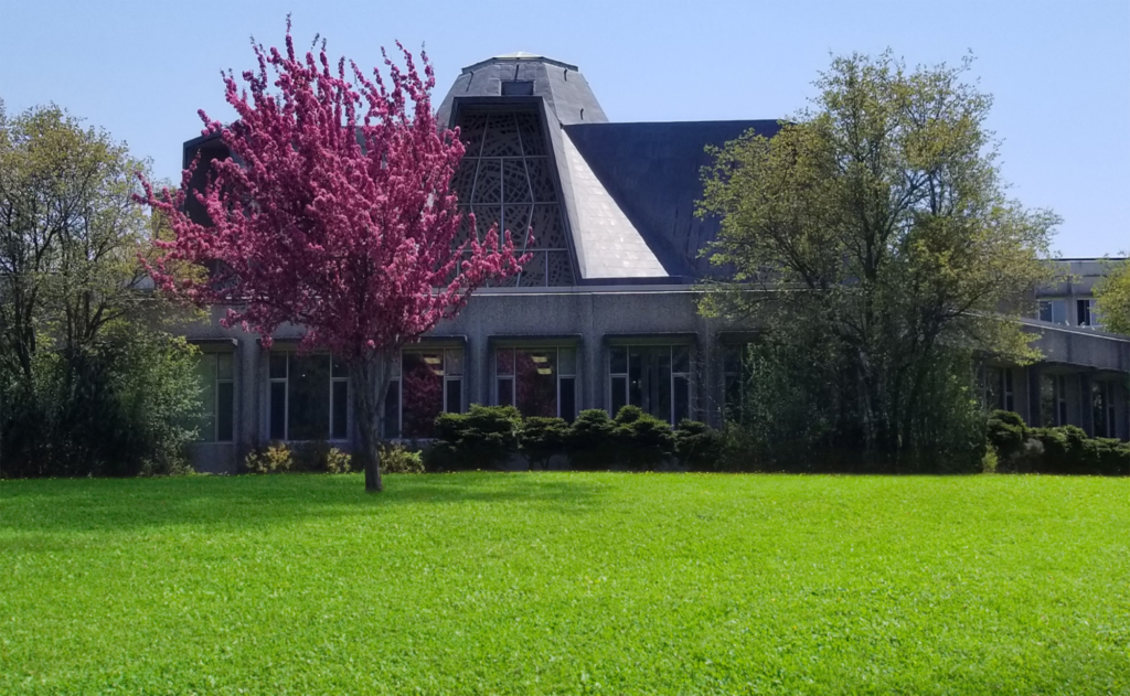 Discover Lakeview Rehabilitation